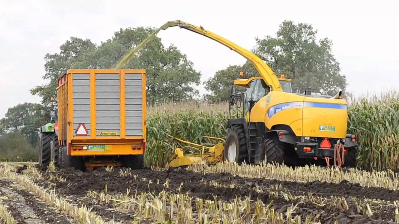 Rensen op nat perceel mais Trekkerweb.nl - YouTube