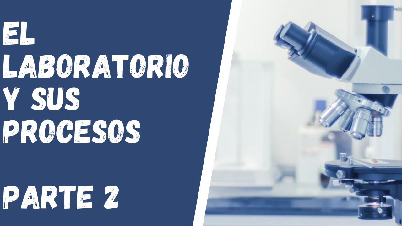 El Laboratorio y sus Procesos│Parte 2 - YouTube