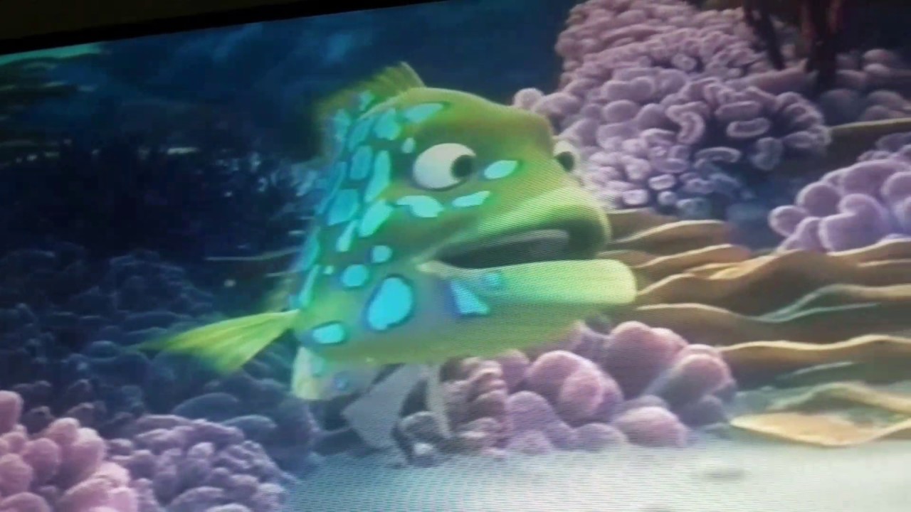 NEMO AND NEMOS DAD - YouTube