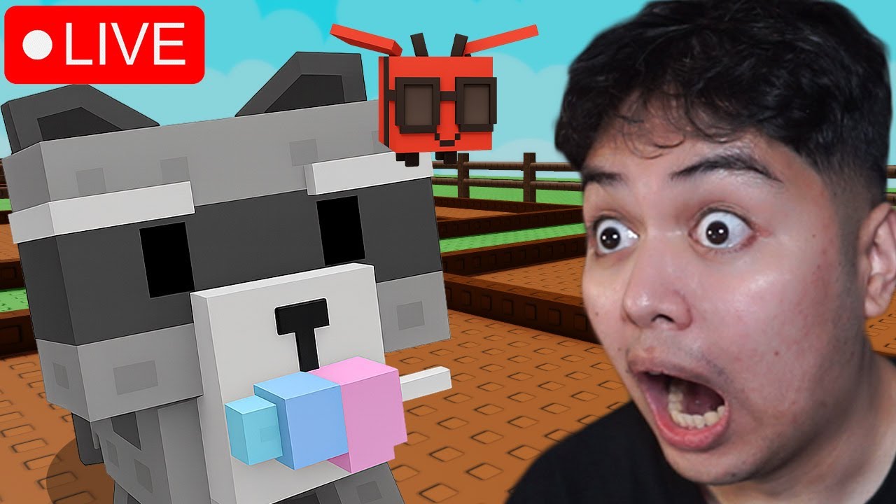 🔴 (LIVE) Grow A Garden: FREE DISCO BEE & RACCOON! - YouTube