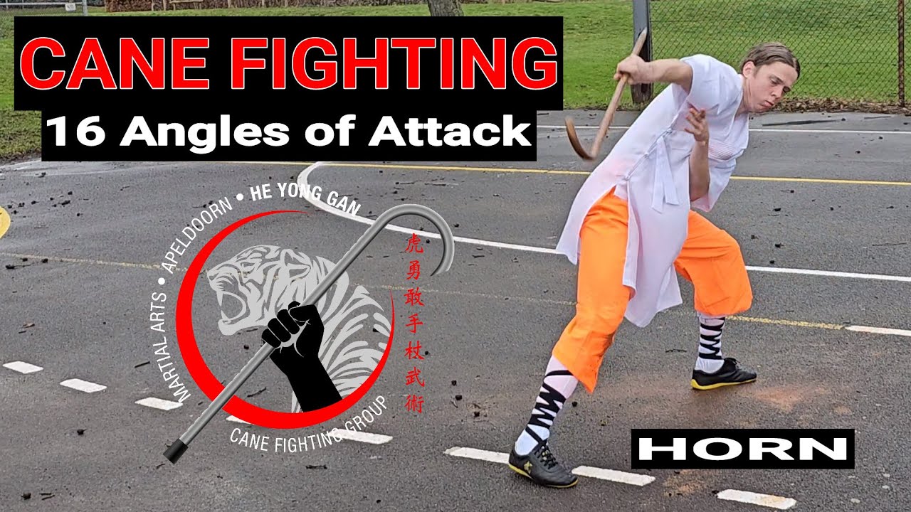 Cane Fighting: 16 Angles of Attack Form with Horn on Count - Martial ...