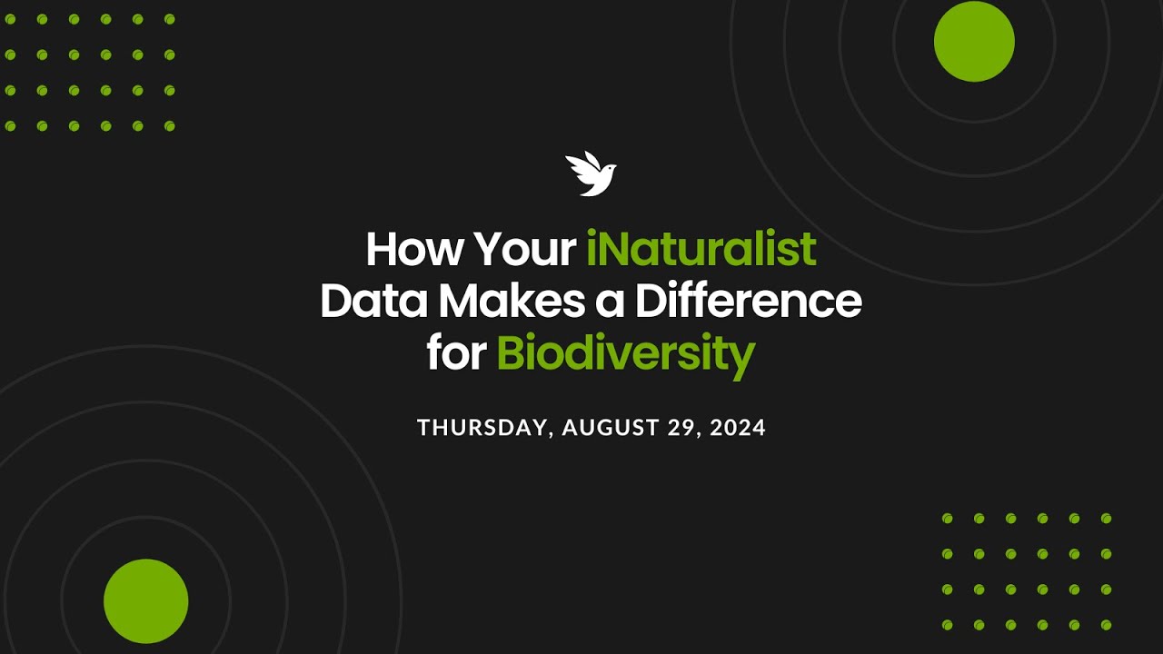 Webinar: How Your iNaturalist Data Makes a Difference for Biodiversity ...