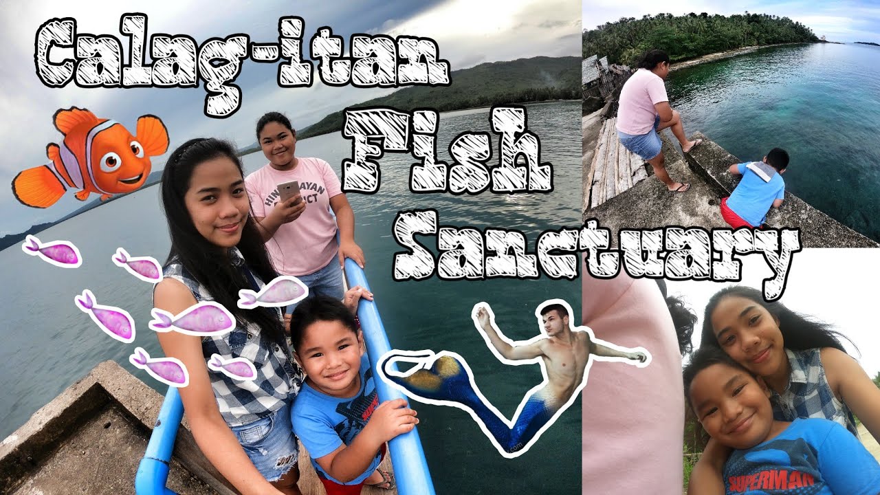 Hinunangan Eco Tourism Destination | Fish Interaction | Hinunangan ...