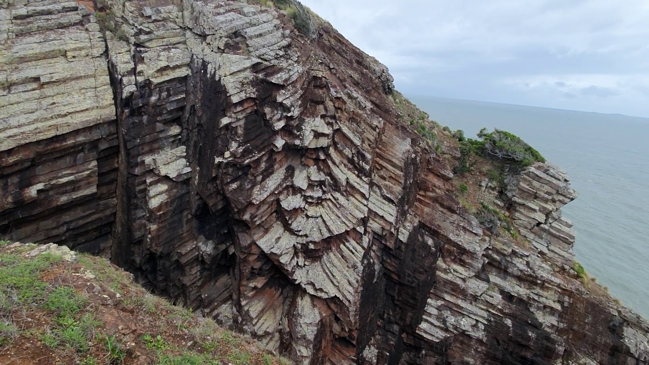 The Ancient Trees of Enoch - YouTube