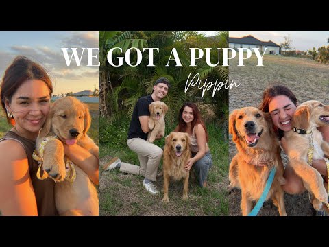 MEET OUR NEW PUPPY! Story time + tips for your new puppy - YouTube