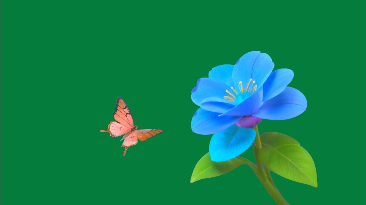 Blue flower green screen video download | Flower green screen no ...