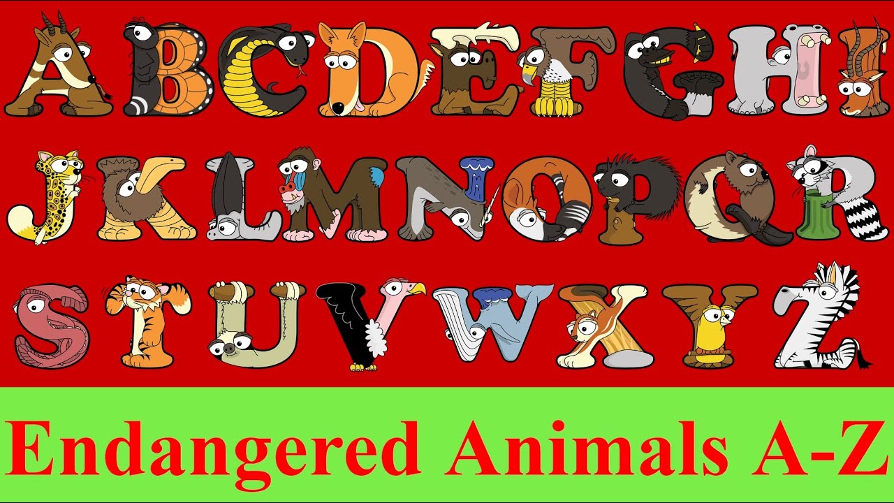 Abc Animal Alphabet Letters Zoo Animal Alphabet Letters From A To Z