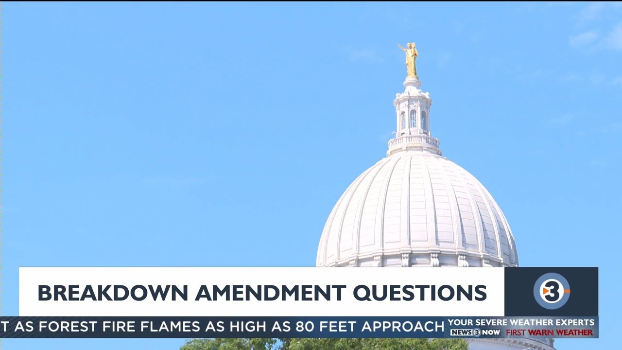 Election Day Explainer: What do the Constitutional Amendment questions ...