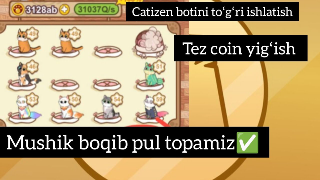catizen. yangi airdrop. mushik boqib pul ishlaymiz. juda qiziqarli ...