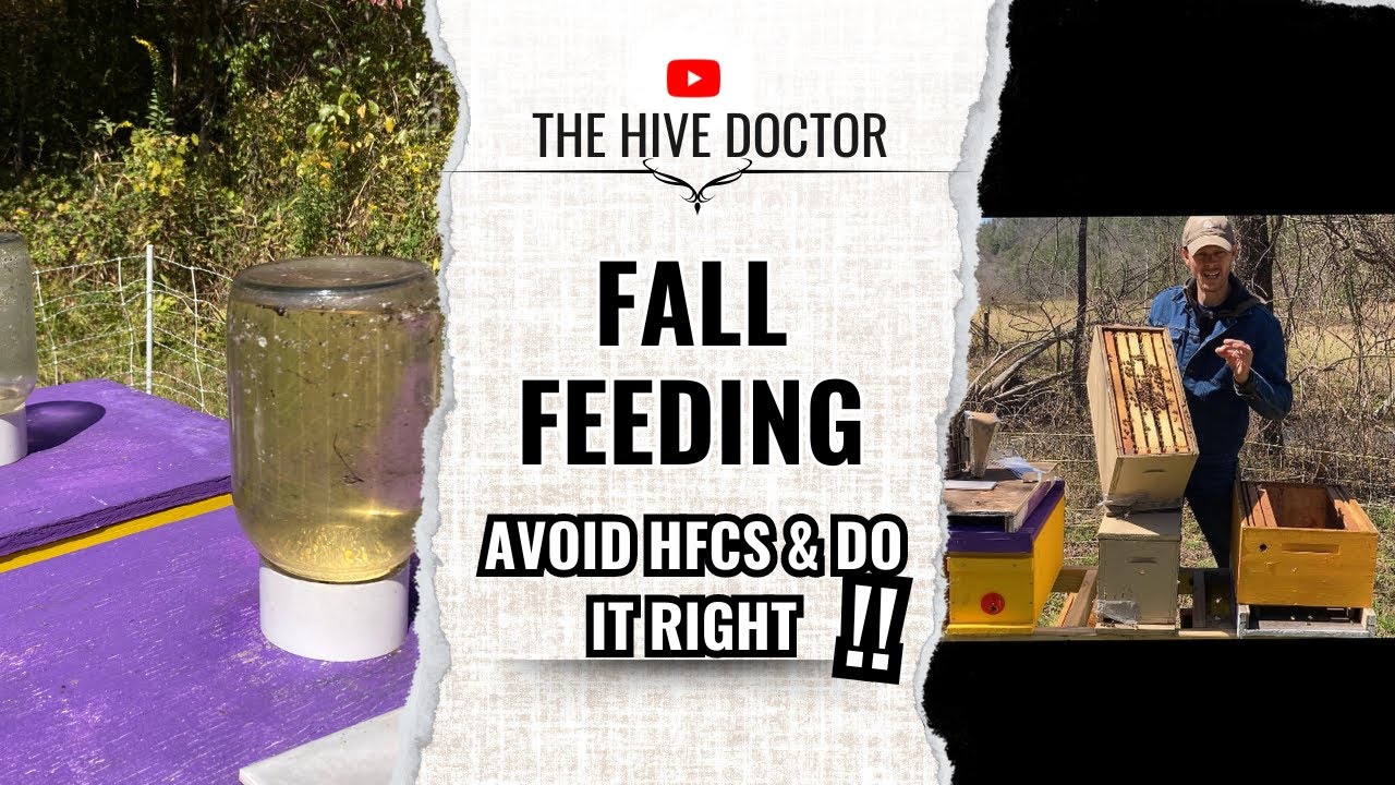 Fall Feeding//Feeding your Bees//Feeding Beehives in the Fall - YouTube