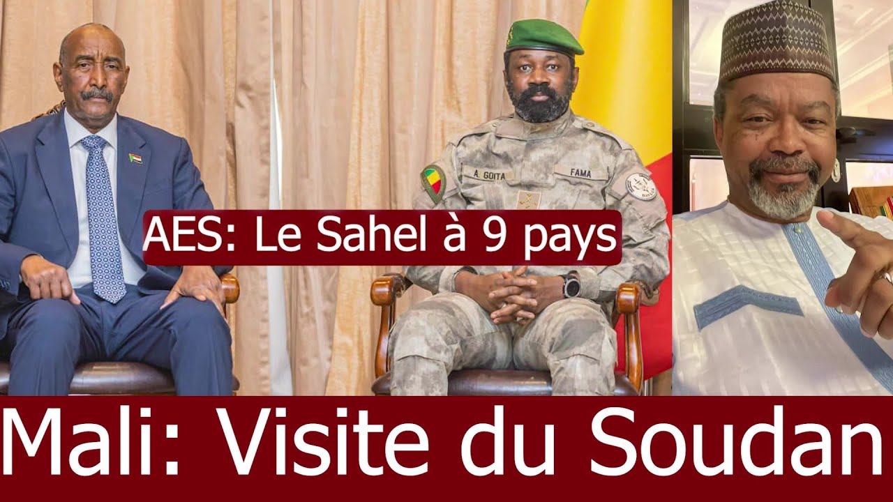 AES : Pourquoi le Sahel est au cœur des enjeux géopolitiques? - YouTube