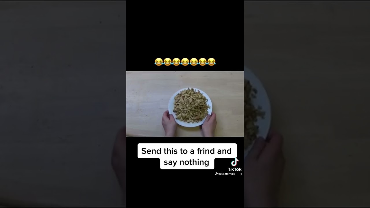 I can’t stop laughing - YouTube