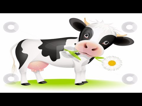 Video divertenti. La mucca fa mu mu ... - YouTube