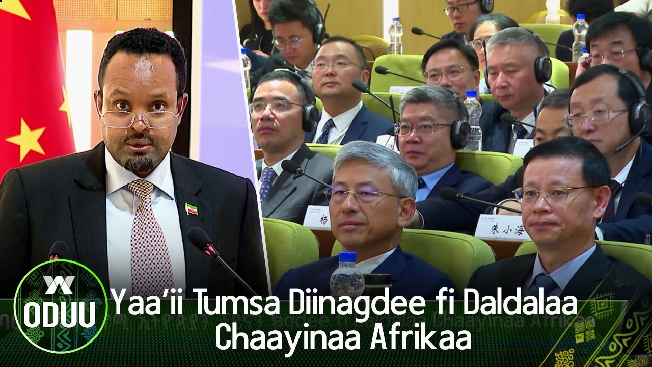 Yaa’ii Tumsa Diinagdee fi DaldalaaChaayinaa Afrikaa |ODUU - YouTube