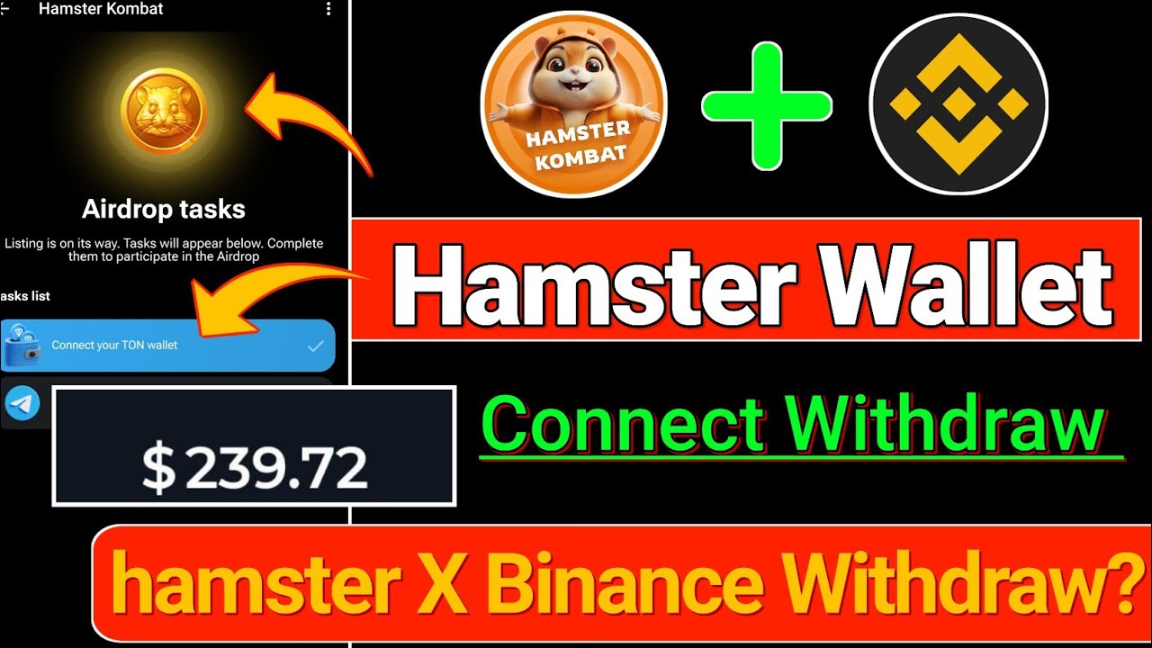 hamster Kombat Wallet Connect || hamster Withdraw || hamster Daily ...