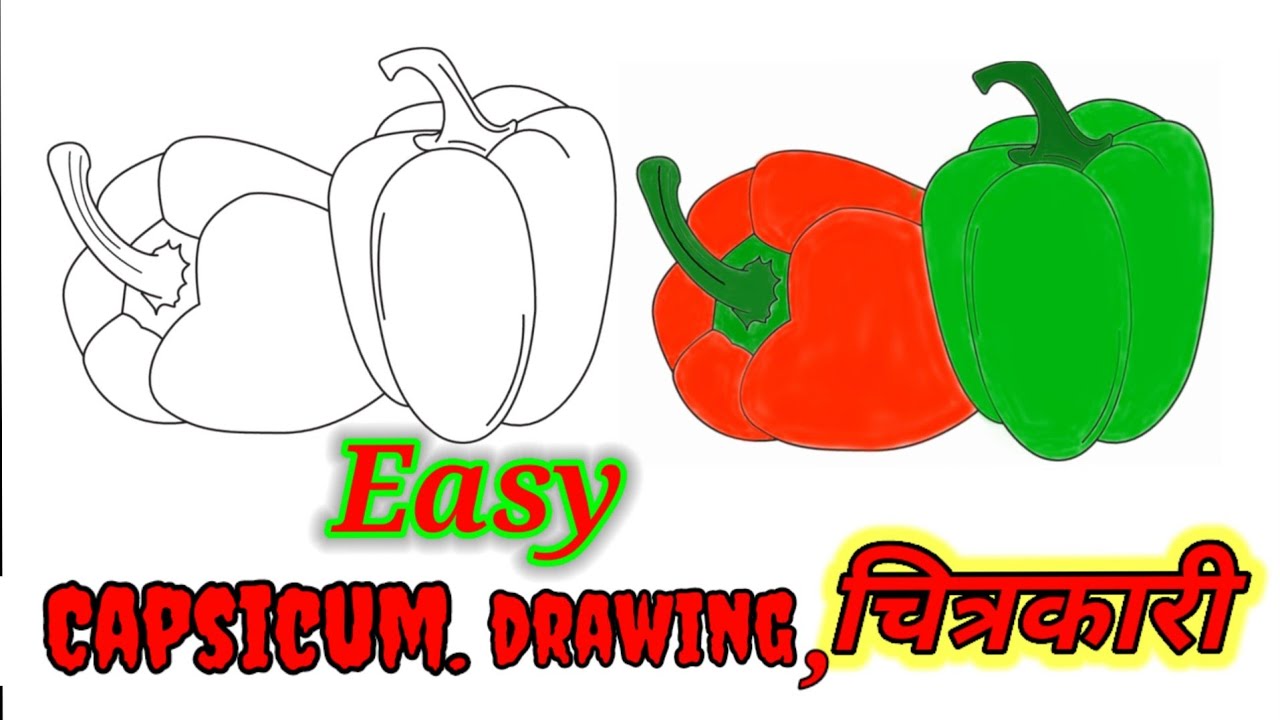 ball paper drawing! how to make capsicum drawing 🫑 !शिमलामिर्च का चित्र ...
