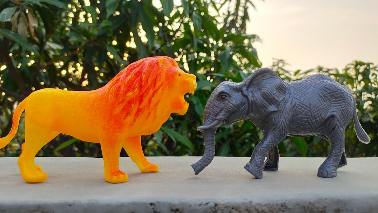 12 zoo animals video for kids - YouTube