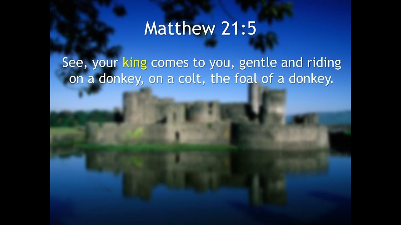 See, your king comes to you gentle and riding on a donkey. - YouTube