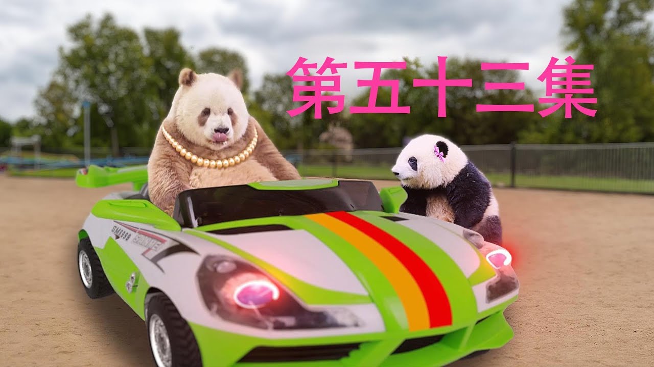 七仔投资打水漂，再次被气进医院 Youtube 3730