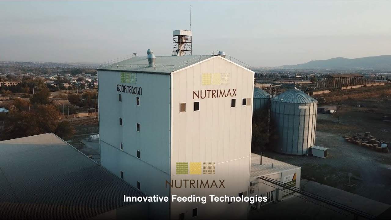 NUTRIMAX - საპრეზენტაციო ვიდეო კომპანიის ახალი სერვისისათვის - YouTube