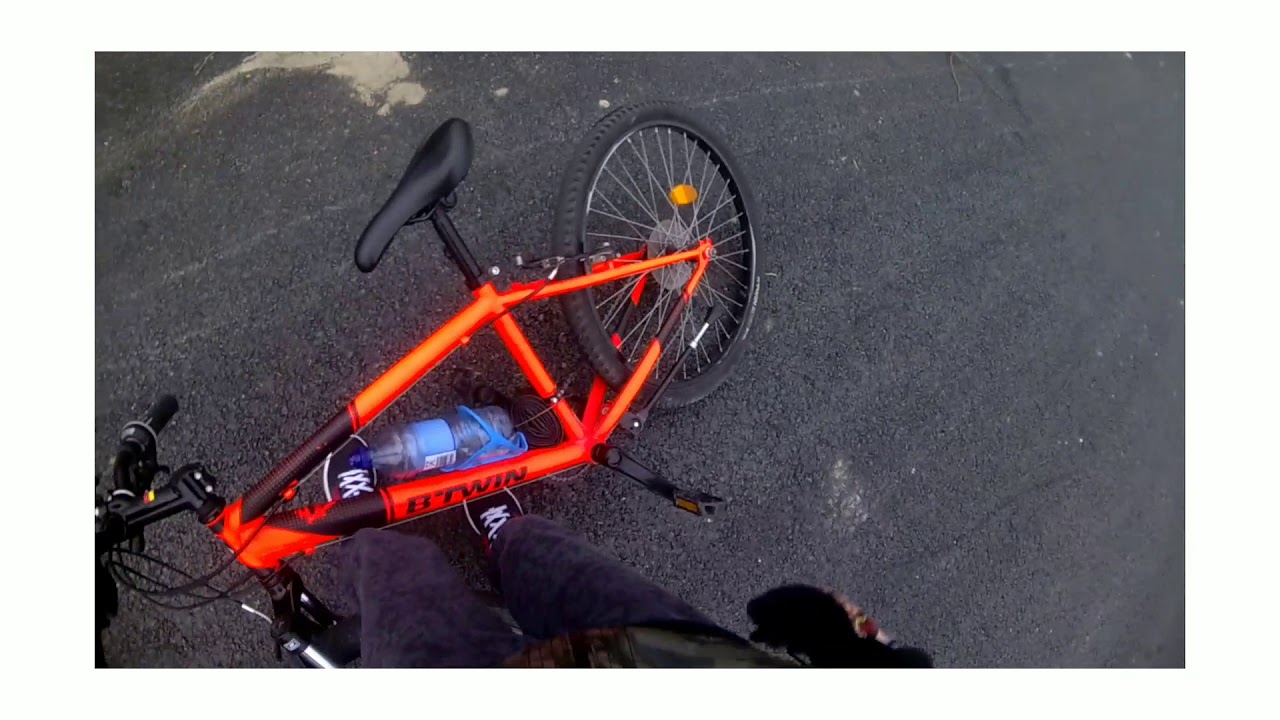 ROAD RAGE :atacked by dogs - YouTube