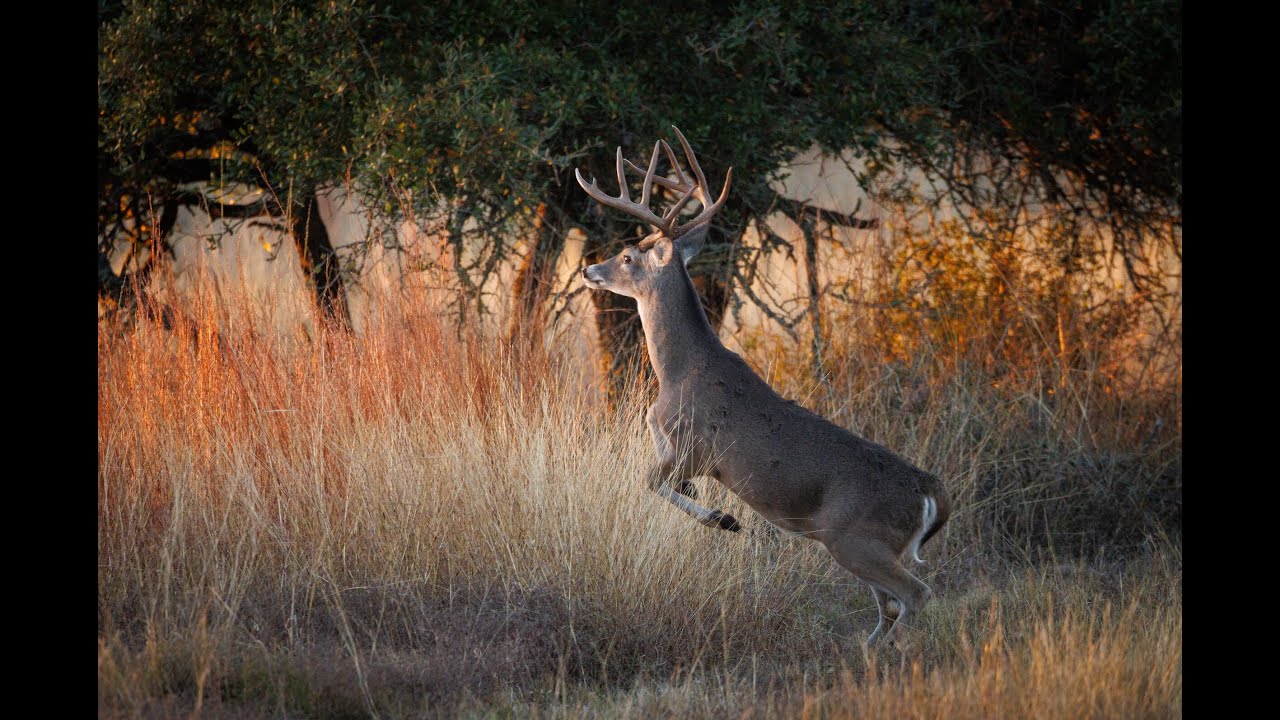 Shin Oak Ranch | 3,024- Acre Texas Hill Country Ranch For Sale - YouTube