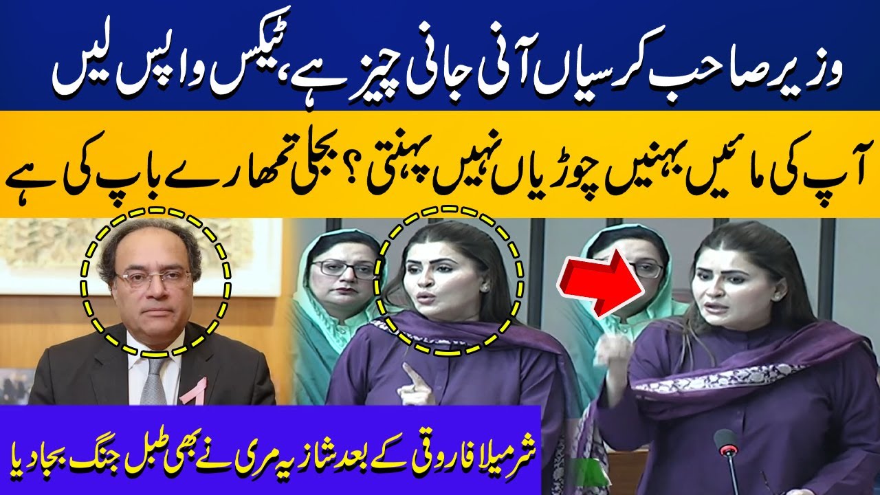 Shazia Mari Rejects Shehbaz Sharif Govt's Budget | Fiery Speech In ...
