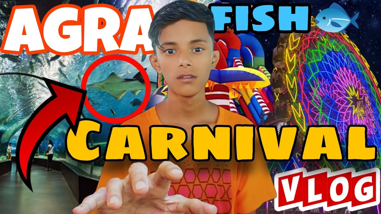 AGRA ️ FiSH CARNiVAL 🐟♥️ || VLOG 🥰 - YouTube