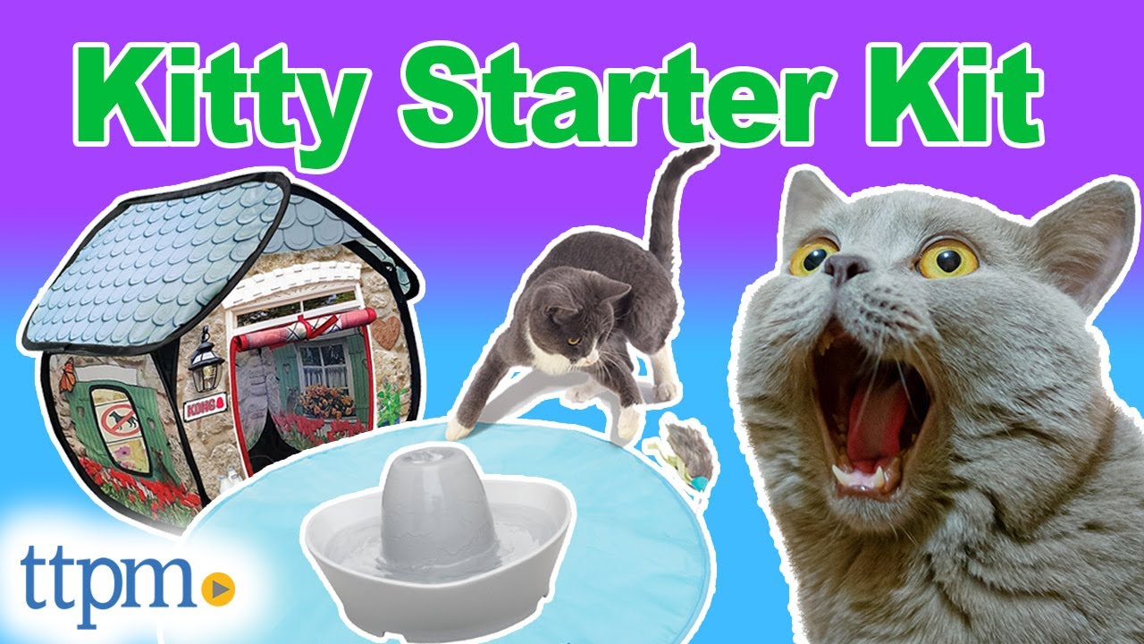 Everything You Need for Your Cat | Kitty Starter Kit for New Owners ...