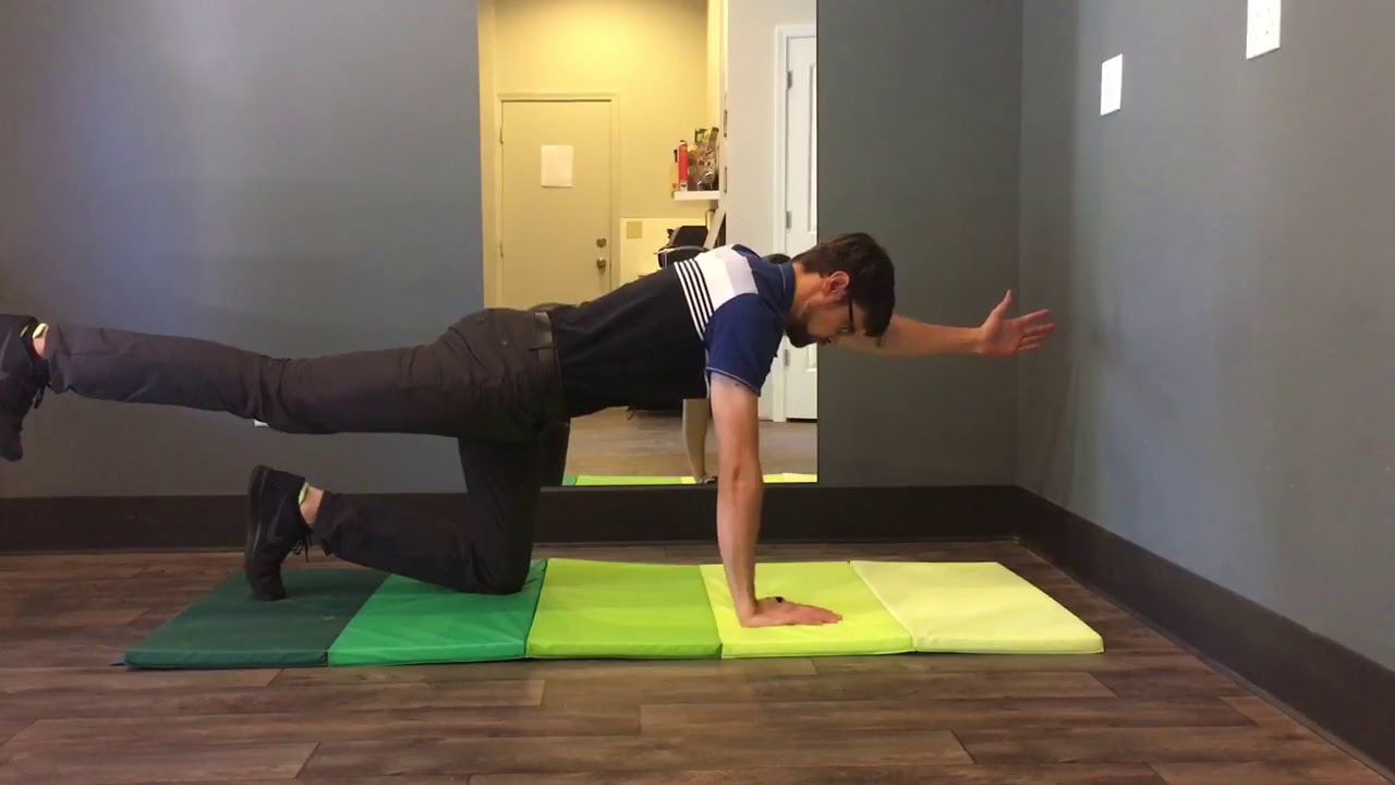 Bird Dog progression 3 - YouTube