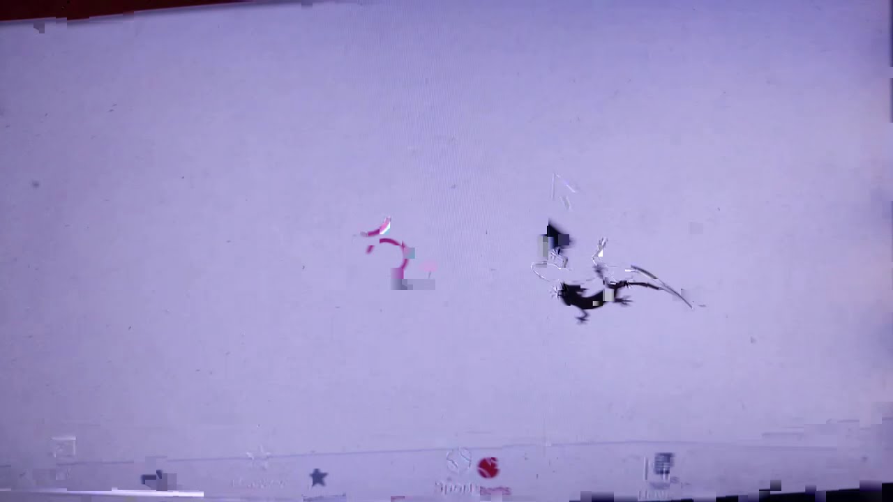 Real young lizard chasing cursor on monitor - Animals funny video - YouTube