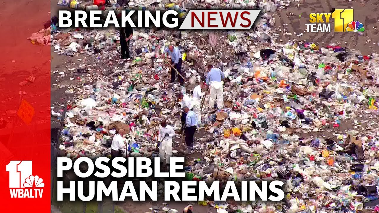 Crews comb recycling center for possible human remains - YouTube