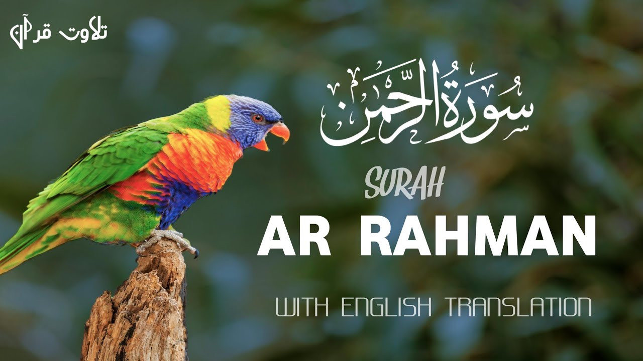 Surah Rahman With English Translation Full | Quran 55 Ar-Rahman with ...