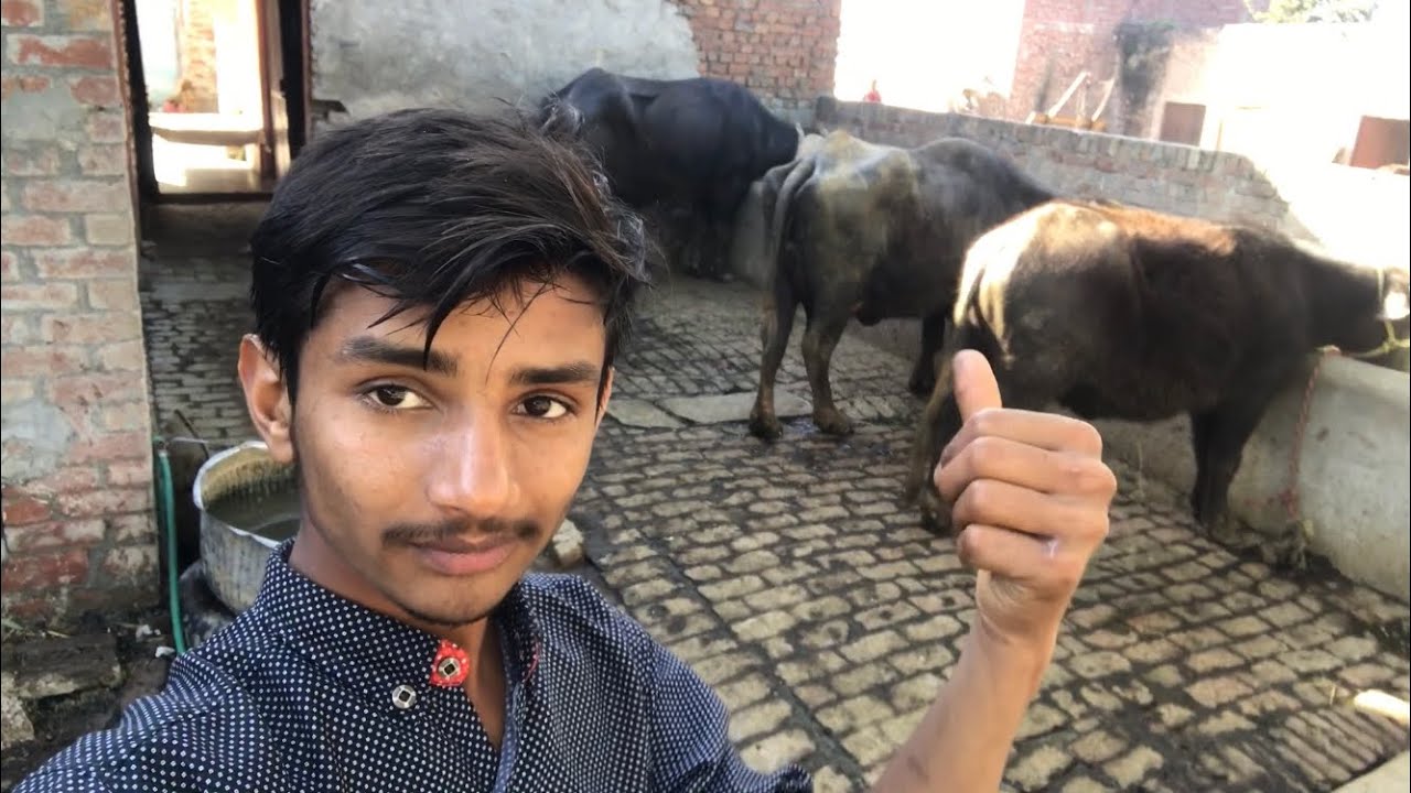 GUJJAR Daily LIFE routine IN PAKISTAN | Pakistan Village Narowl | - YouTube