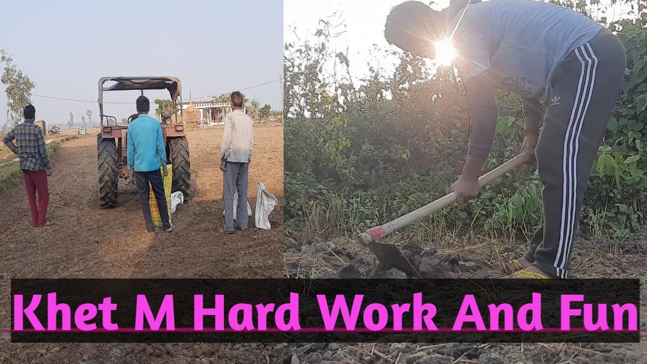 Khet M Hard Work And Fun - YouTube