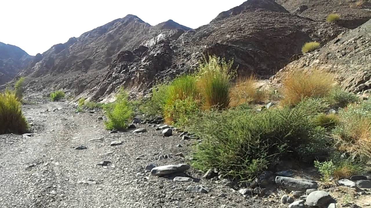 Isso Smile N Fujairah Wadi Sheesh With Group Yo Yo - YouTube