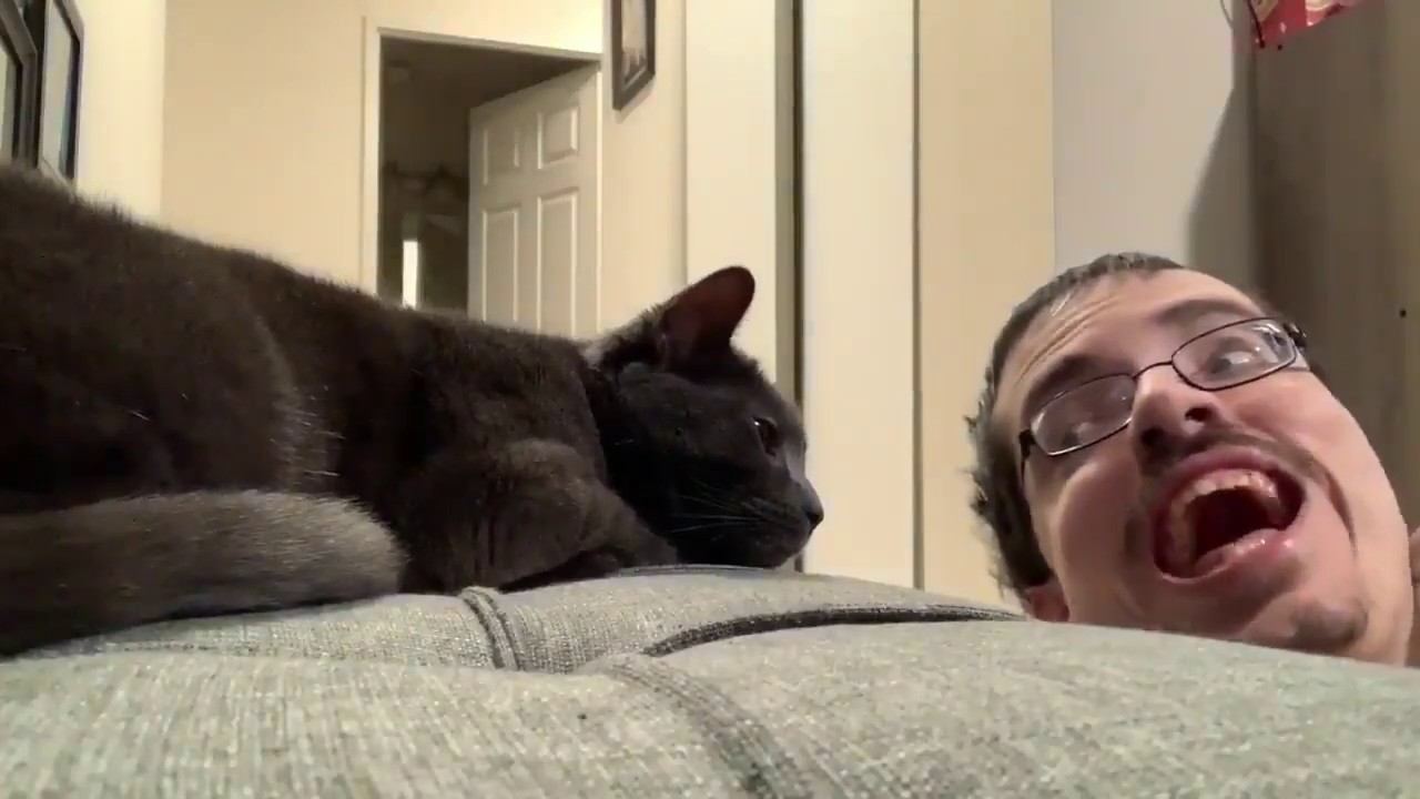 KITTY GIFT 🐱 - Ricky Berwick - YouTube