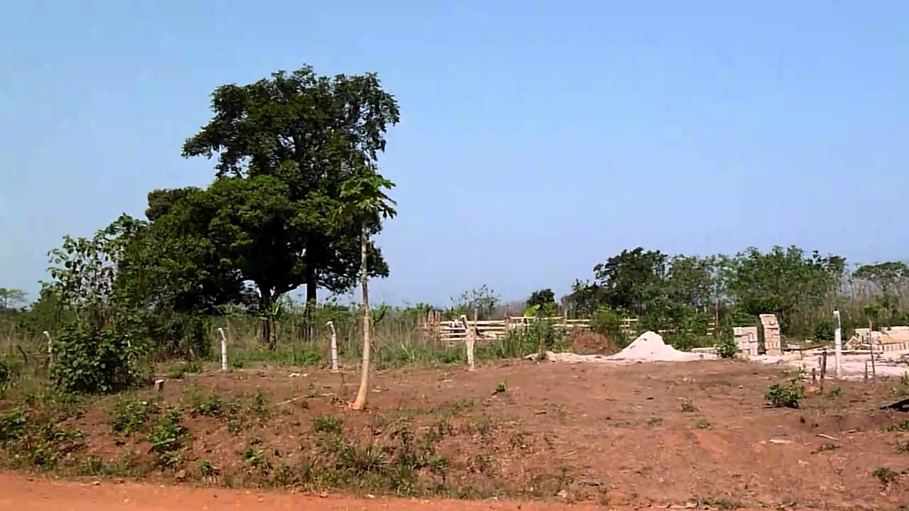 Dogo Moro Farm Part4 - YouTube