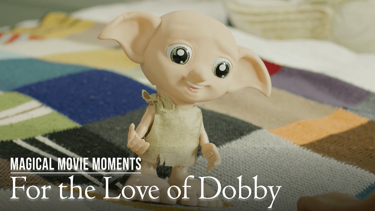 FOR THE LOVE OF DOBBY (IRL) | Harry Potter Magical Movie Moments - YouTube