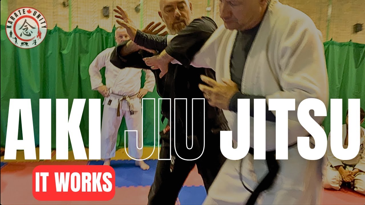 Aiki Jiu Jitsu : The Underrated Martial Art You Need To Know - YouTube