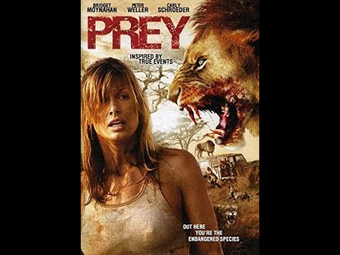 Opening To Prey 2007 Dvd Hd Youtube 5592