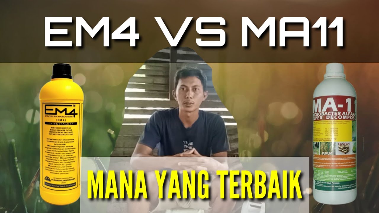 EM4 Vs MA11, mana lebih baik - YouTube