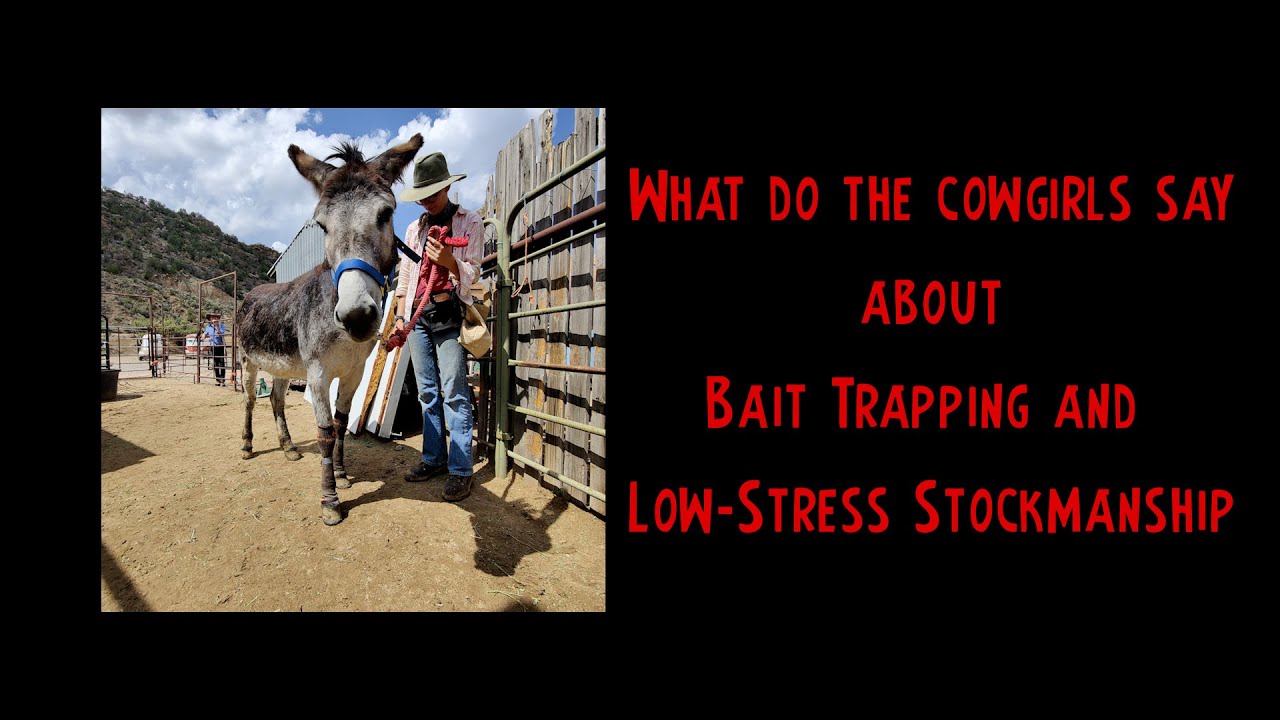 Cowgirls Know Best | Do it Right : Bait Trapping with Tim McGaffic | 🐎 ...