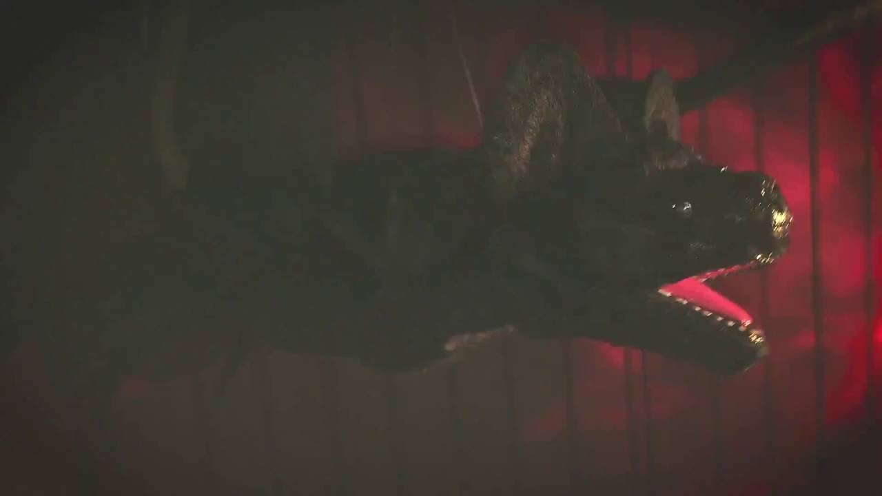 Animated Flying Bat Halloween Decoration - Improvements Catalog - YouTube