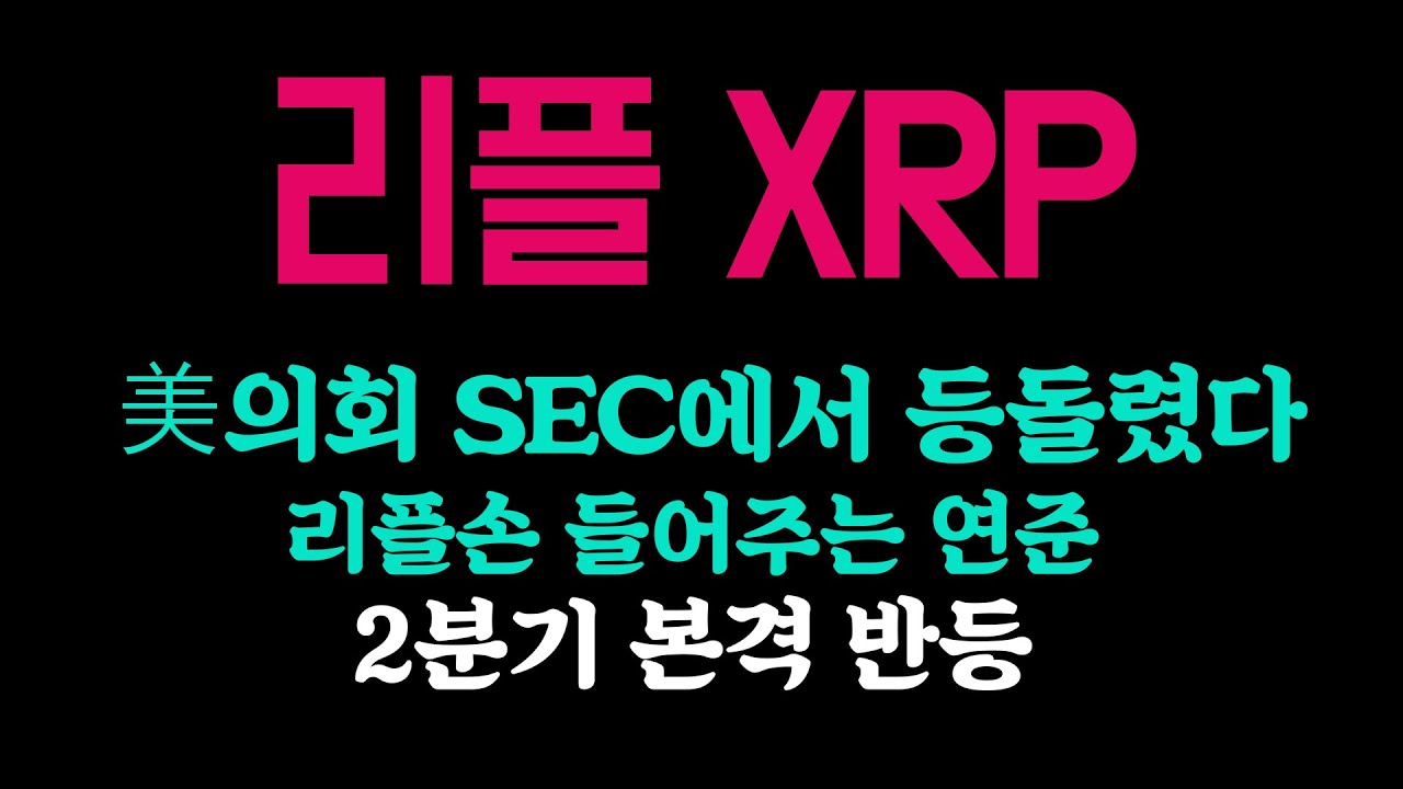 리플 Xrp 속보 Sec에서 등돌린 美의회 리플손 들어주는 연준의원 2분기 본격반등 리플 Xrp 리플 Xrp코인전망