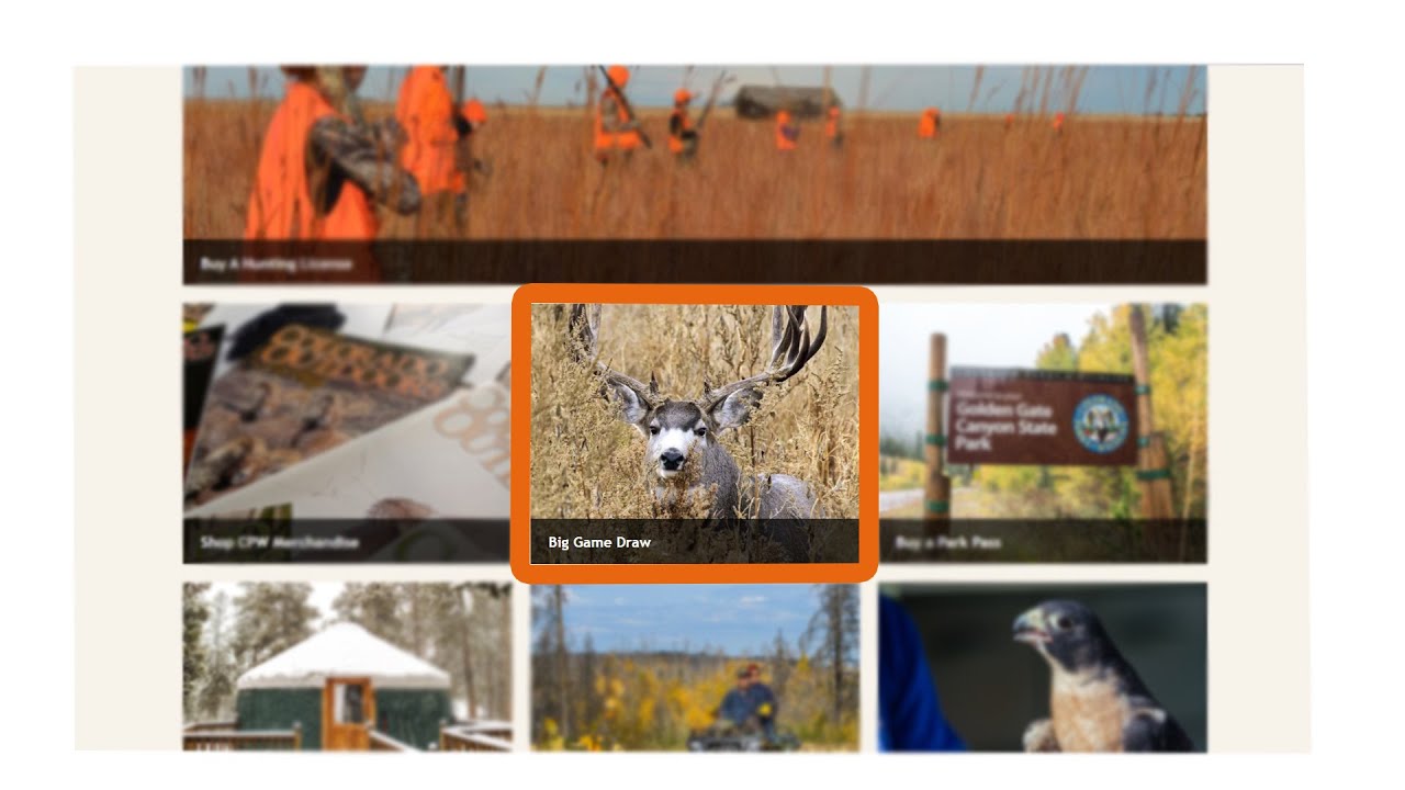 How To Research And Apply For Elk Tags In Colorado Pt 2 YouTube how-to-research-and-apply-for-elk-tags-in-colorado-pt-2-youtube