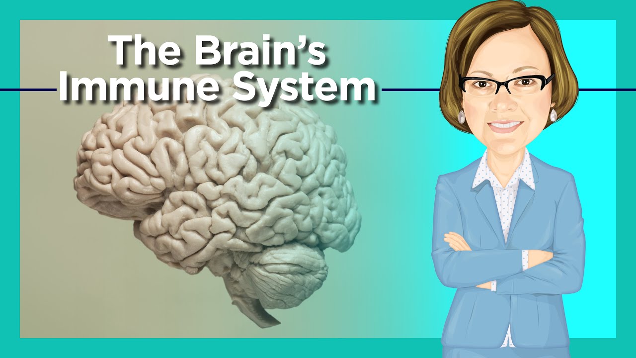 The Brain's Immune System - YouTube