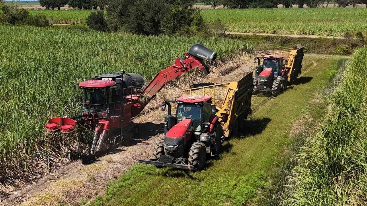 Case IH 9900 Sugarcane Harvester - YouTube