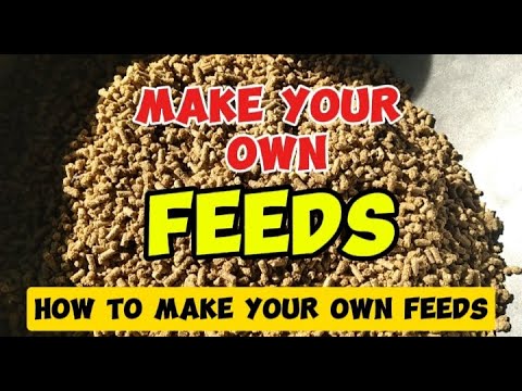 How to make your own feeds. Feed mixing - YouTube