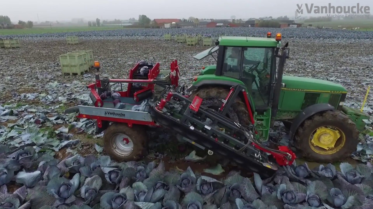 Cabbage Harvesting Equipment